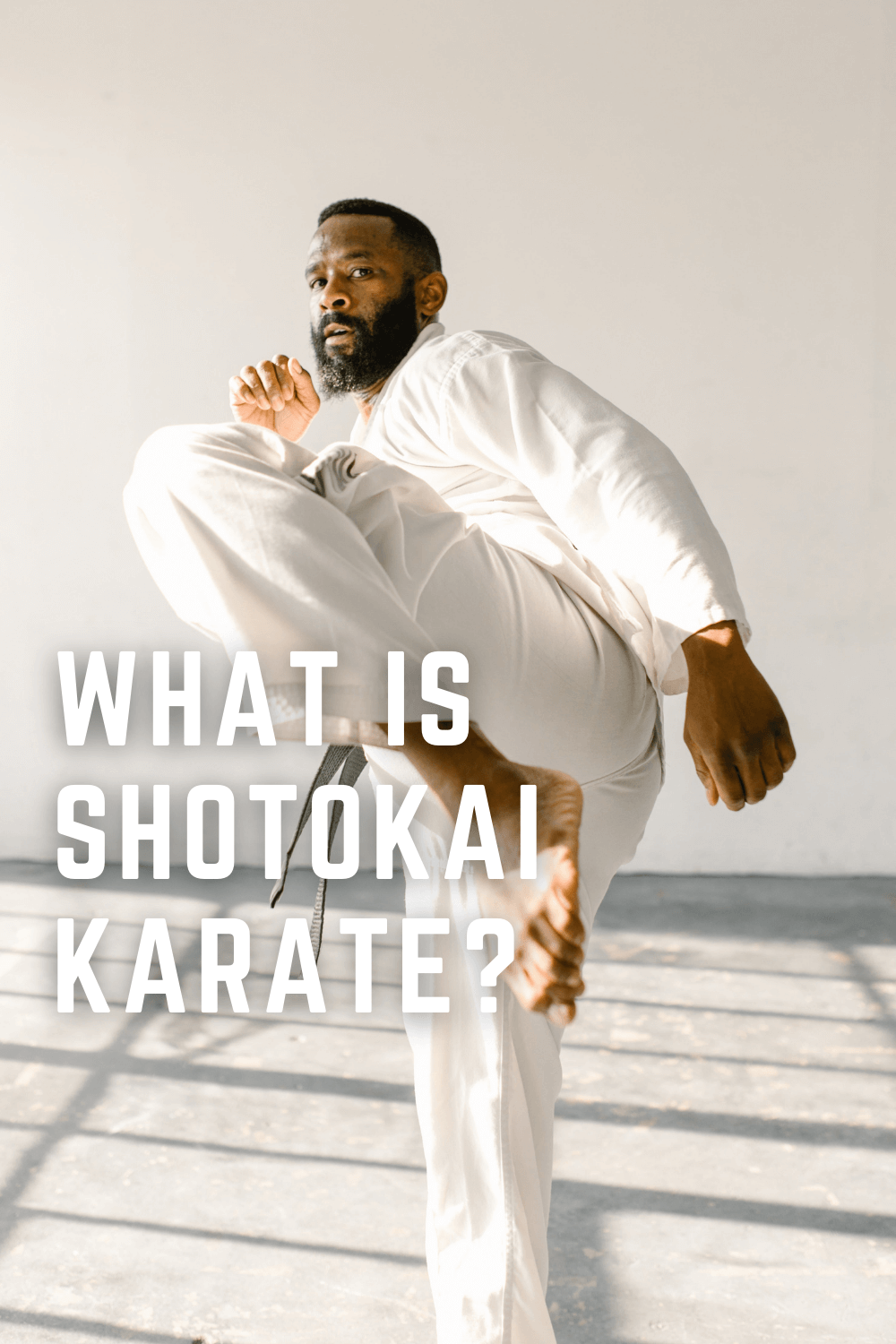 What is Shotokai Karate? – Dojo Mart